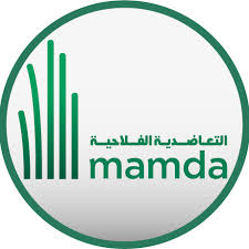 Assurance Complémentaire CNOPS | Mutuelle Santé Maroc | mesassurances.ma